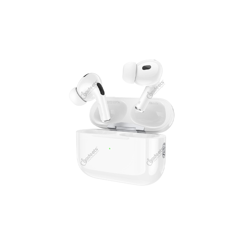 Hoco EW77 TWS Earbuds Price in Bangladesh